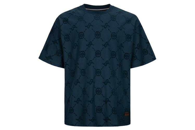 Футболка EVISU