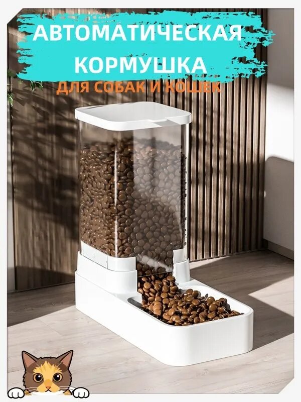 Автокормушка для кошек, миска для кошек и собак, автоматическая кормушка, поилка, 2в1