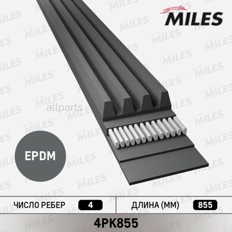MILES 4PK855 Ремень поликлиновый