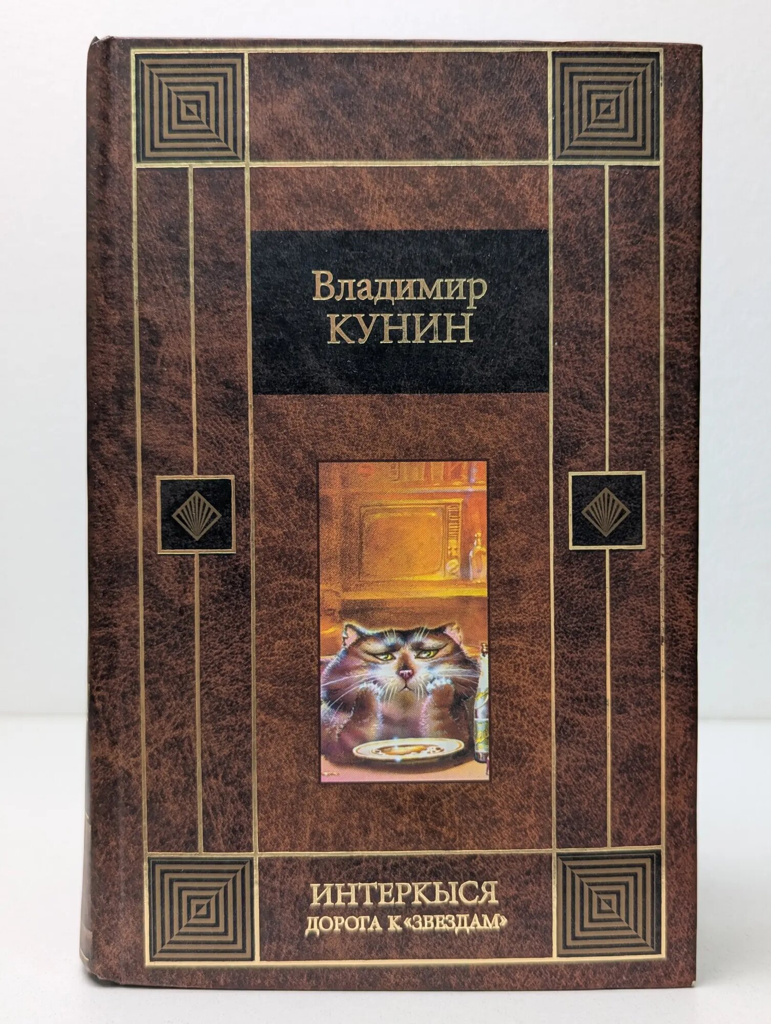 ИнтерКыся. Дорога к звездам Кунин Владимир Владимирович 2003