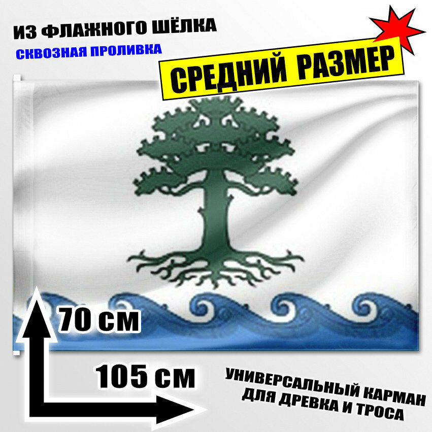Флаг средний МО Молодёжное 105x70 см
