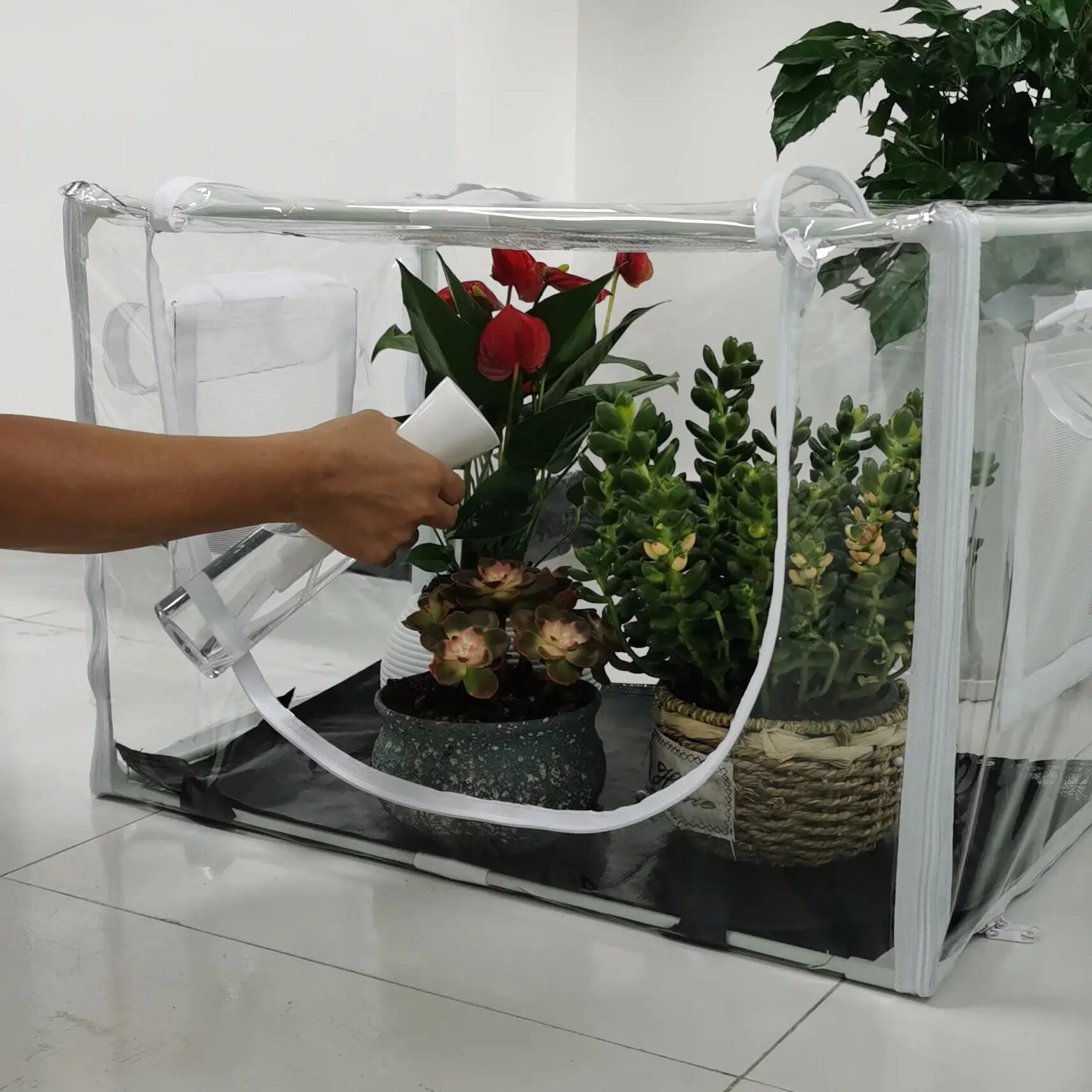 Теплица для растений 78x52x52 см с ковриком