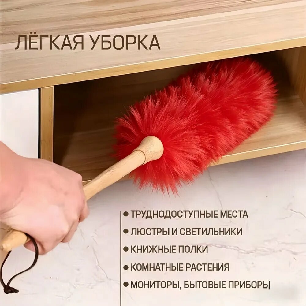 Пипидастр, 1 шт — фото 1
