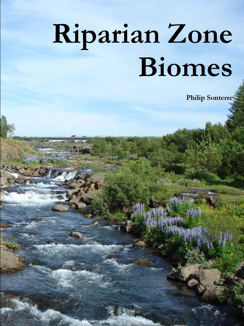 Riparian Zone Biomes — фото 1