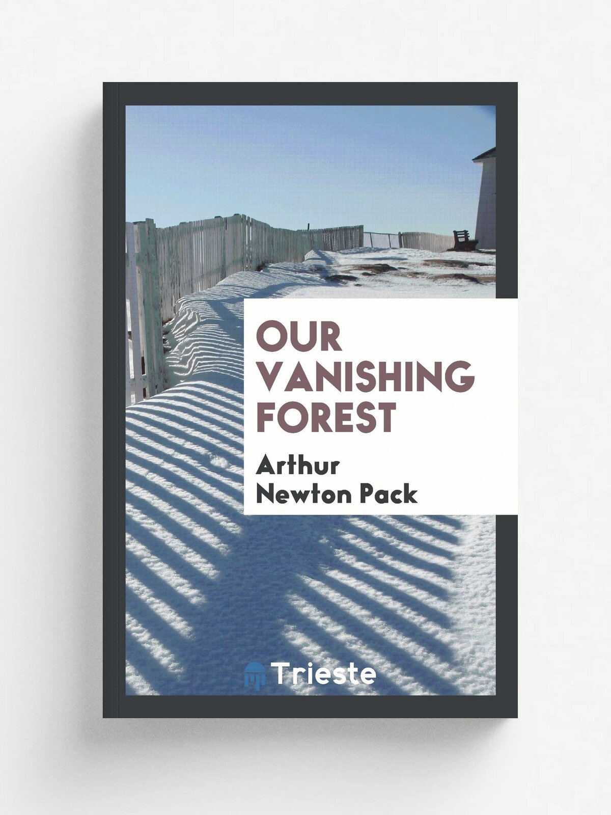 Our vanishing forest