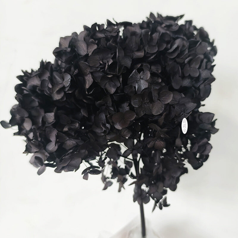 Вечная гортензия Анна, маленькие листья, цветное поглощение, отбеленный DIY цветочный материал, настоящий цветок, фабрика Юньнань, в наличии, оптовая продажа, сухой цветок