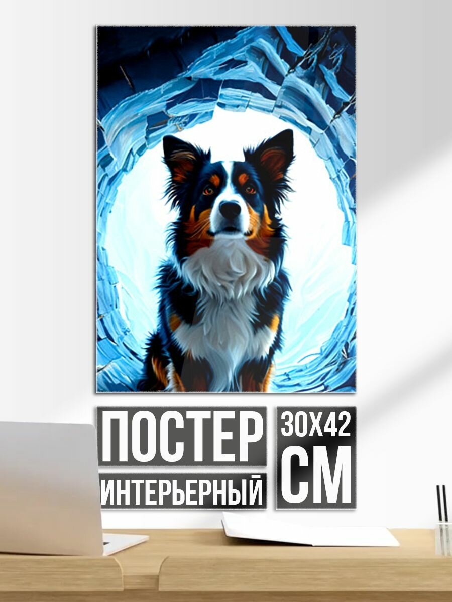 Постер на стену Бордер-колли в синей пещере