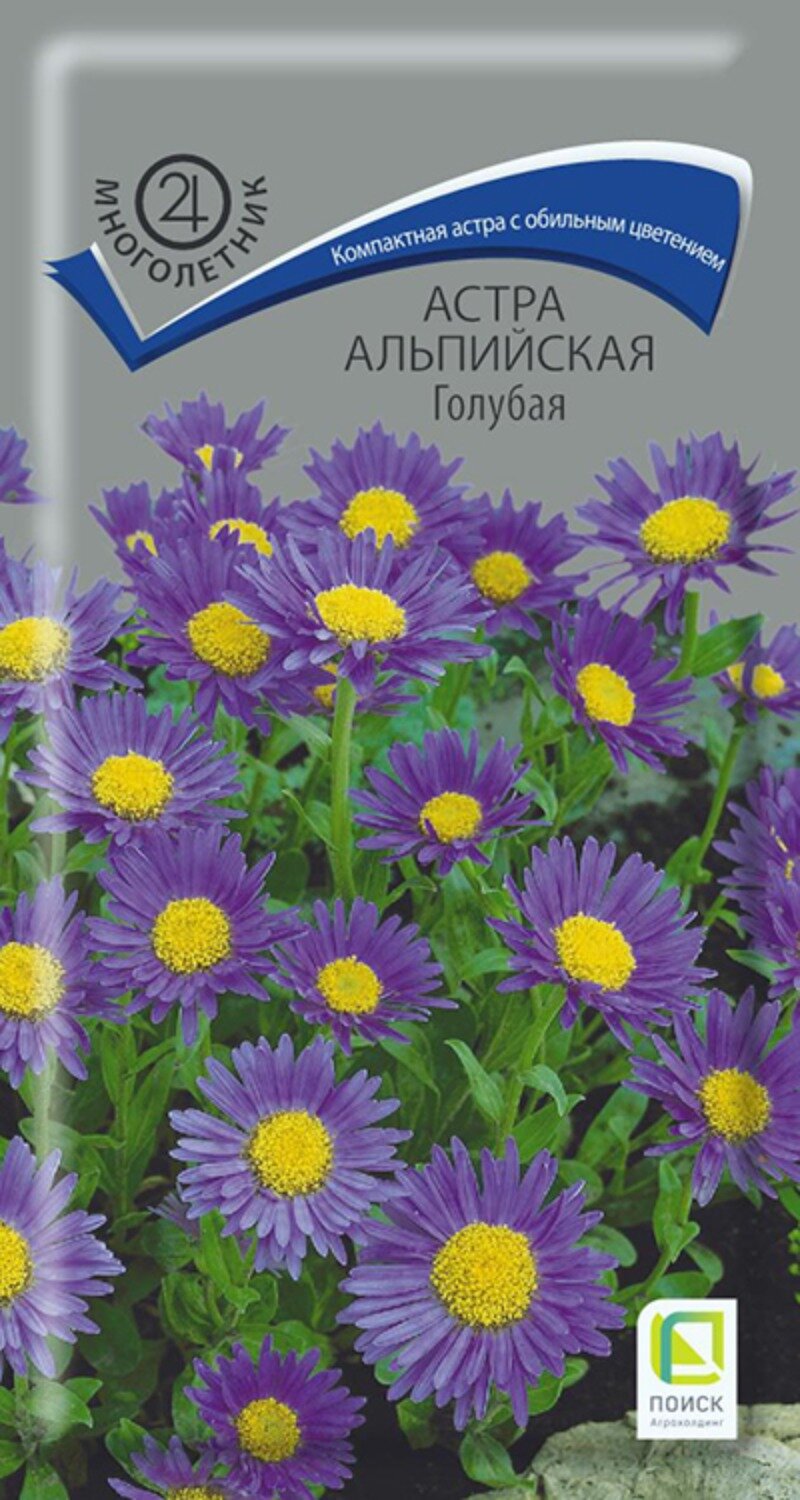 Семена Астра альпийская Голубая (0,04 г), Агрофирма Поиск, многолетник