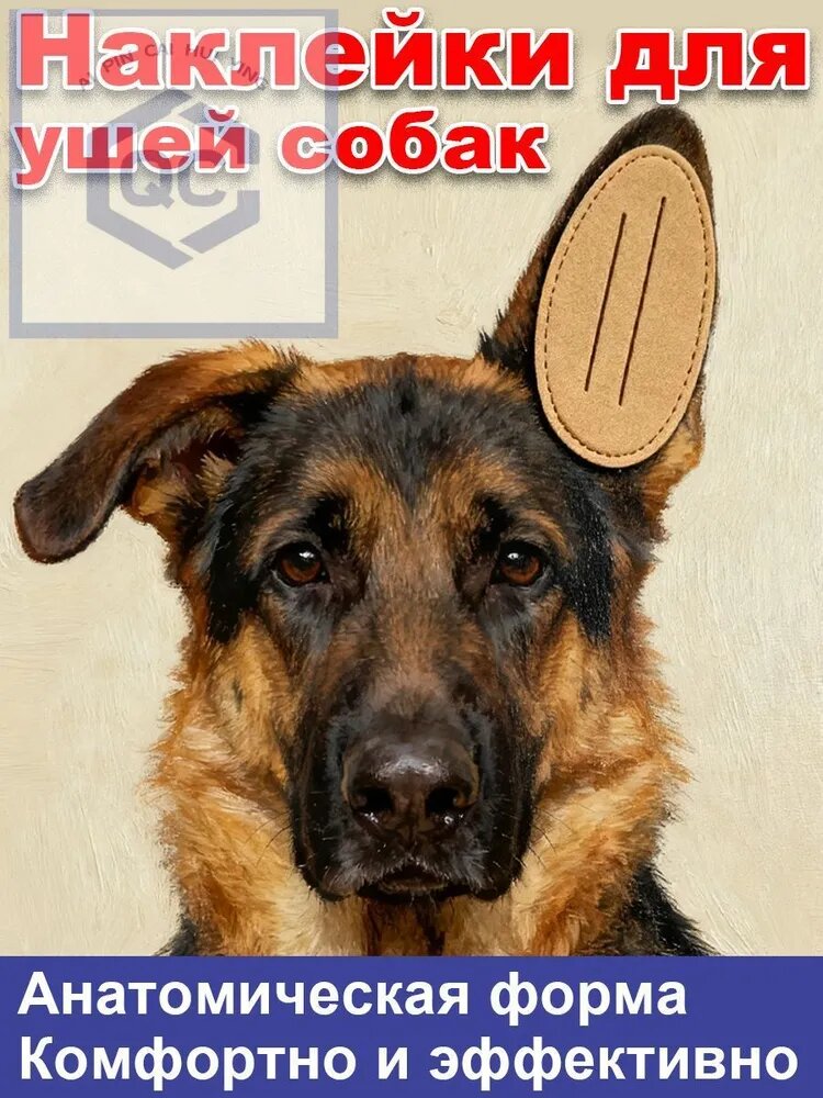 Корректирующие пластыри для ушей собак