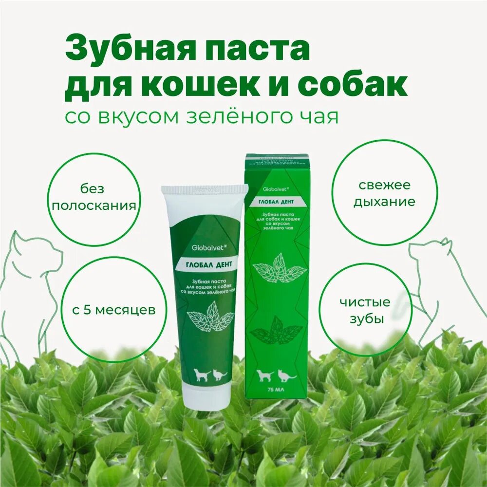 Зубная паста Globalvet Глобал Дент для собак и кошек, 75 мл, ферментированная с зеленым чаем