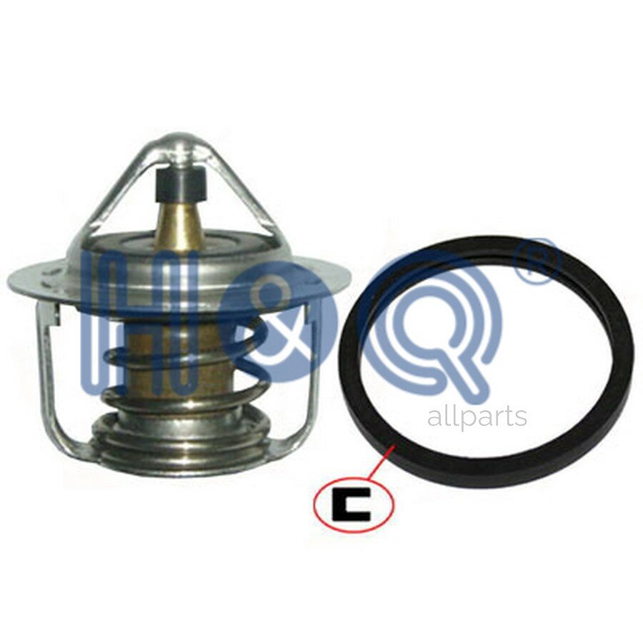 H&Q 5010MZ109 Термостат