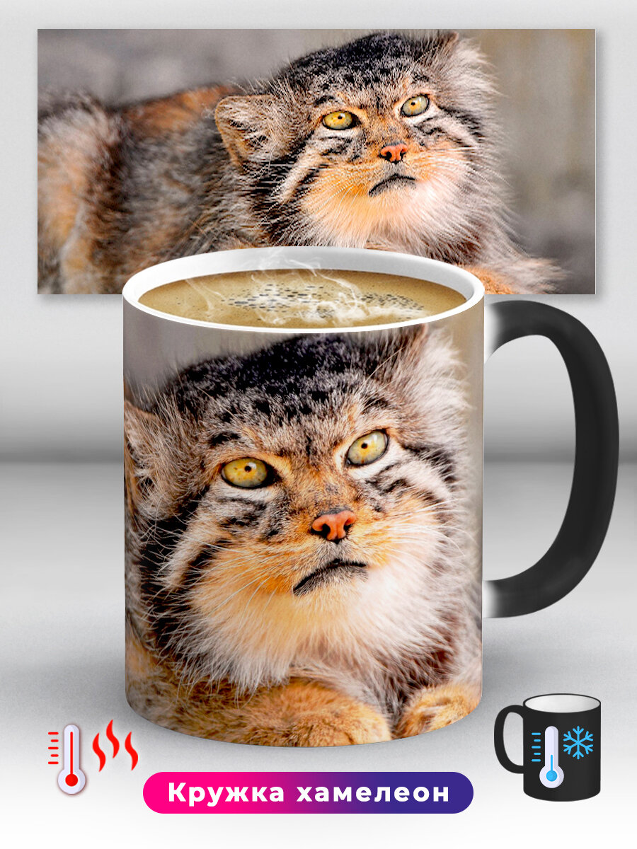 Кружка хамелеон Манул кот котик