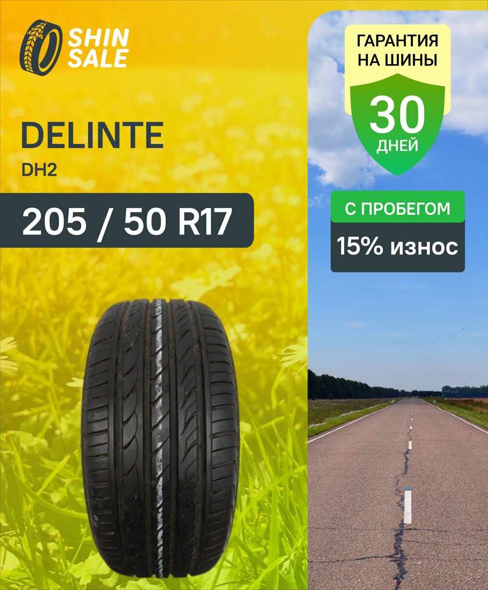 Летние БУ шины Delinte DH2 205/50 R17 15.0% износ T0163974