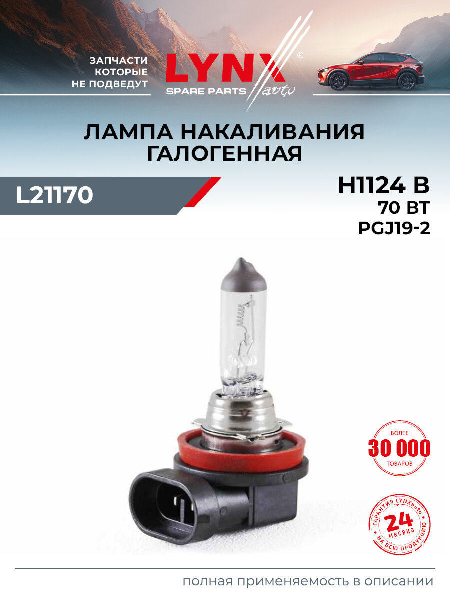 Лампа автомобильная H11 24V 70W PGJ19-2 HCV / LYNXauto L21170