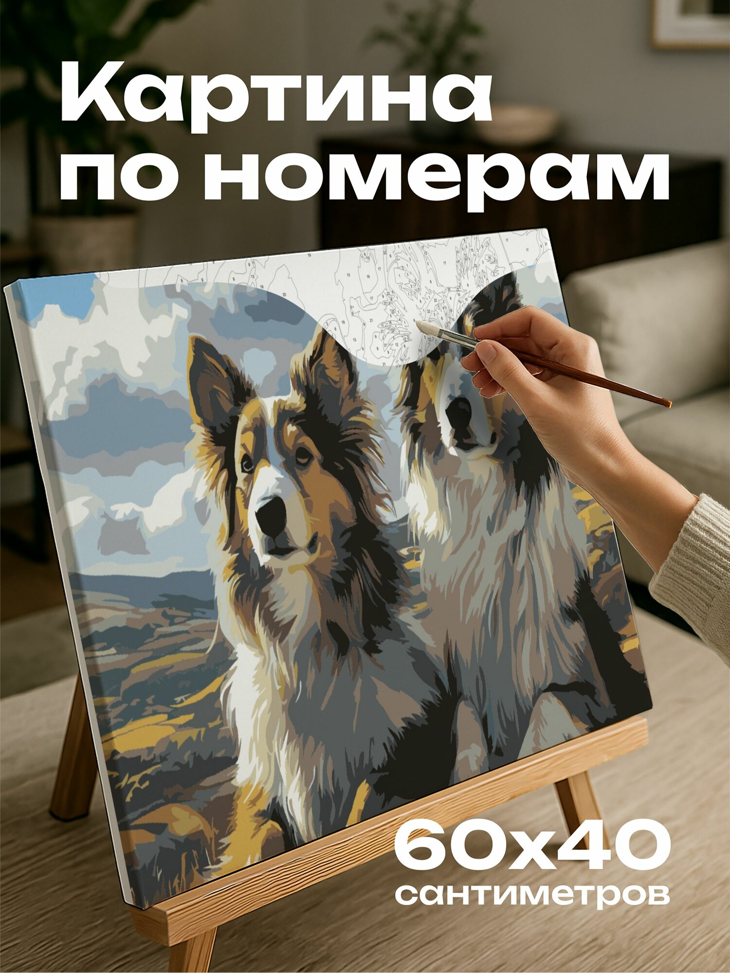 Картина по номерам 60x40 см, колли, реалистичный стиль, выразительные глаза, замысловатая шерсть, тепло, товарищество
