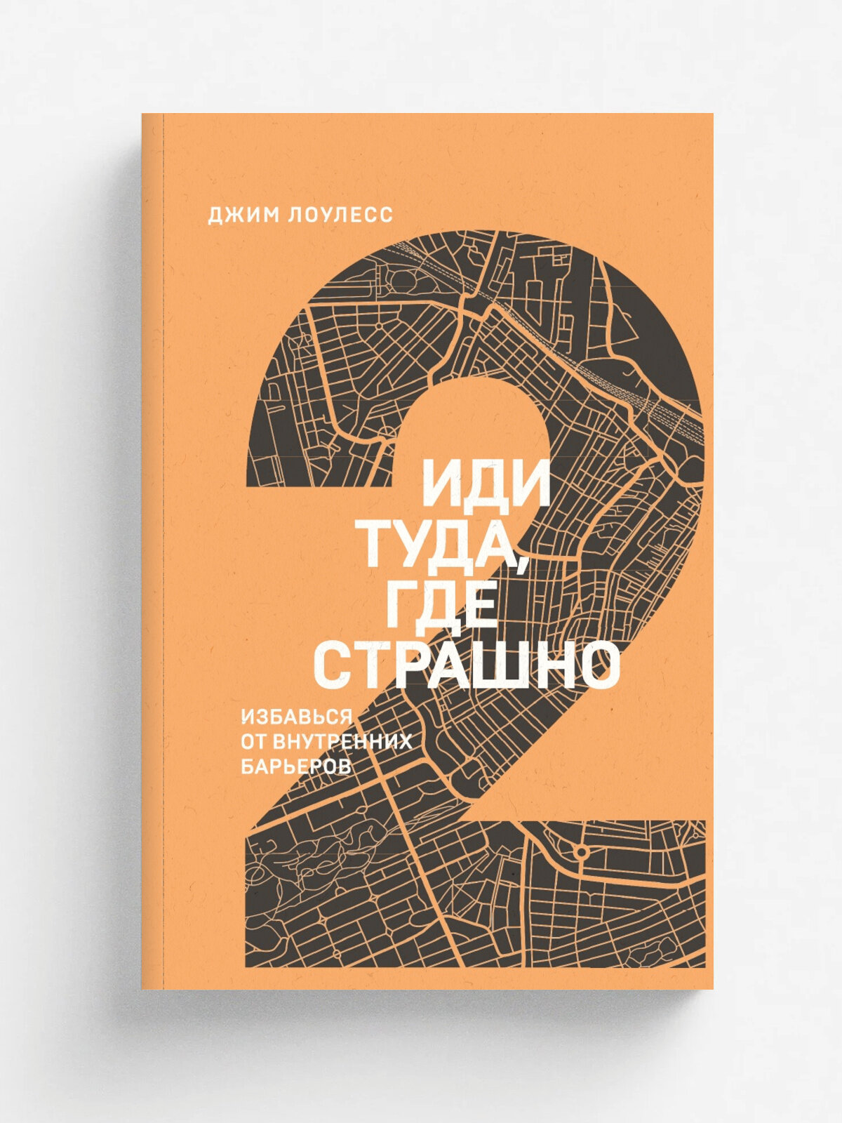 Иди туда, где страшно. Избавься от внутренних барьеров