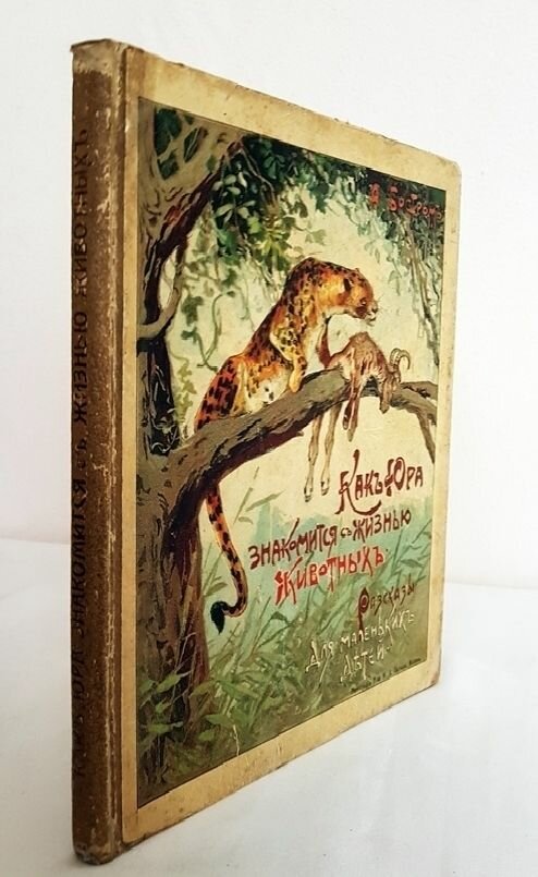 "Как Юра знакомится с жизнью животных". А. Бостром. 1911г.