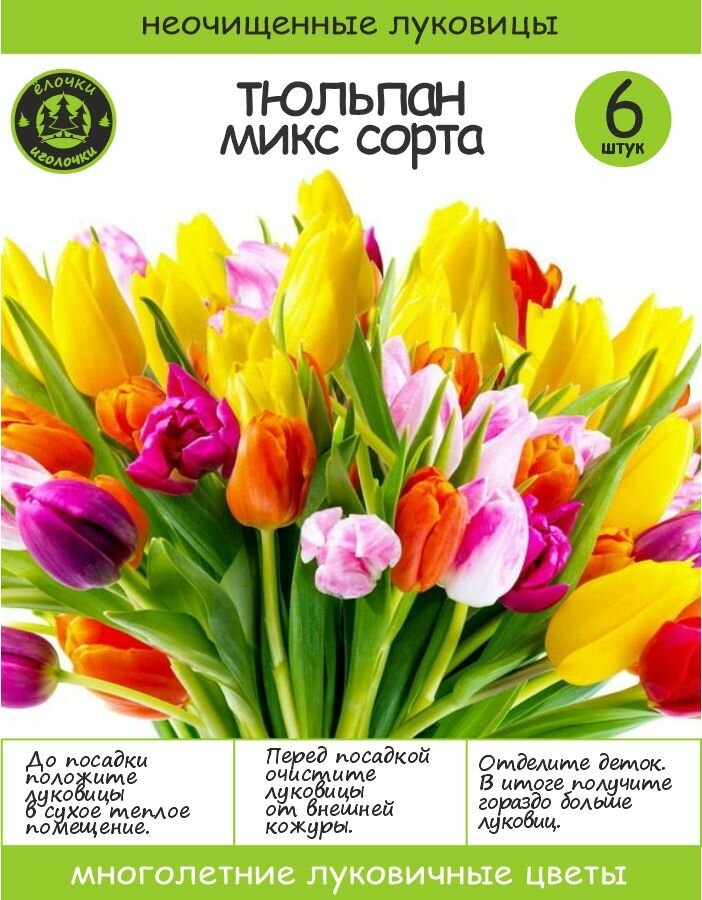 Тюльпан луковичные цветы, Микс сортов 6 шт