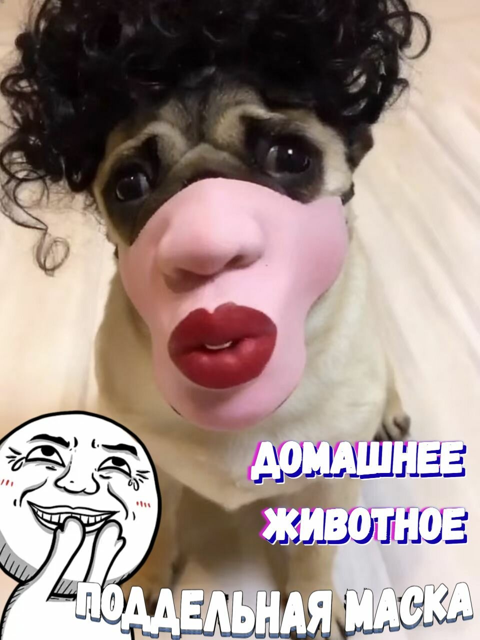 Забавная маска-намордник для собак с губами