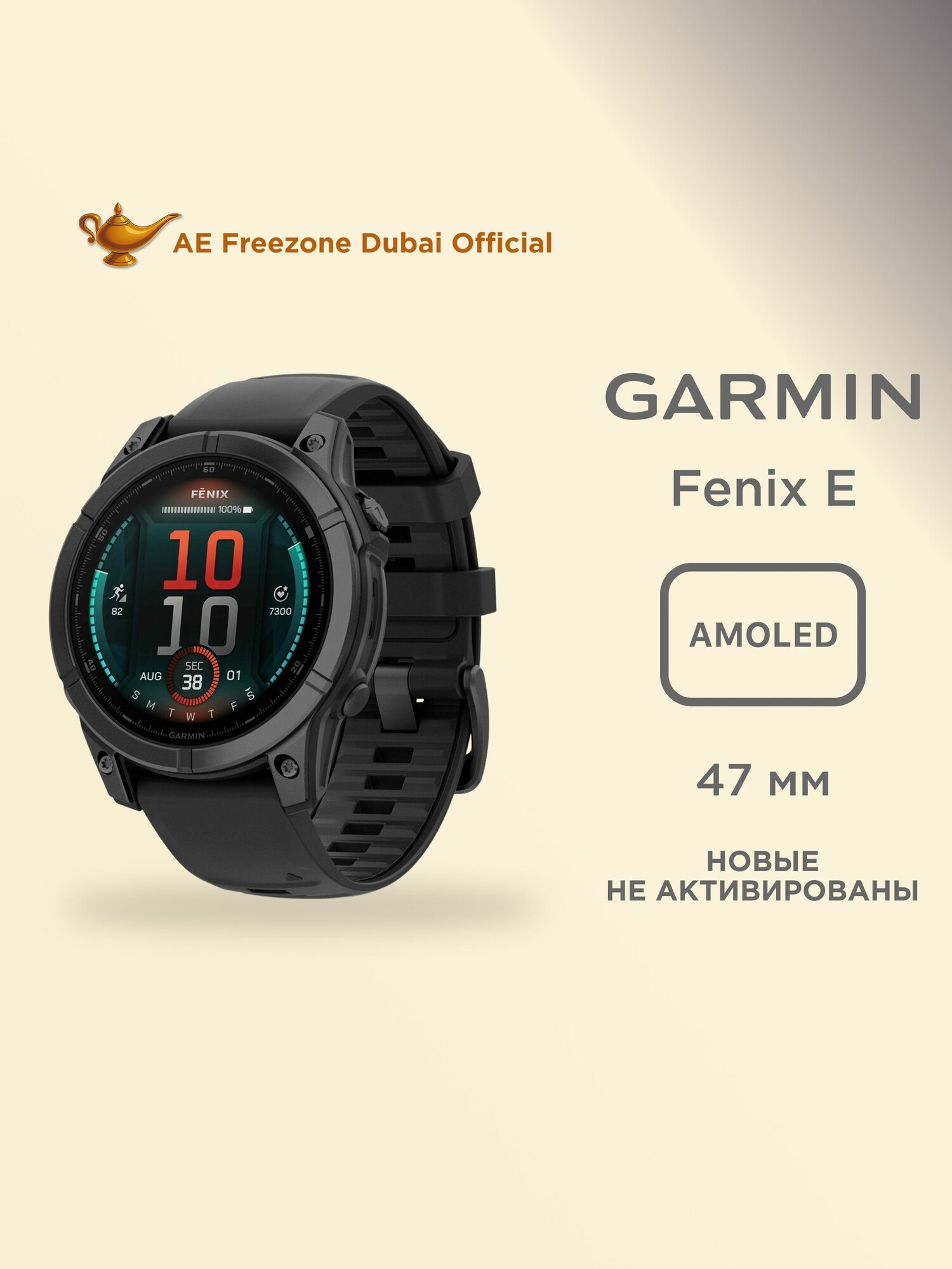 Умные часы Garmin fenix E 47mm AMOLED Slate Gray Steel with Black Silicone Band