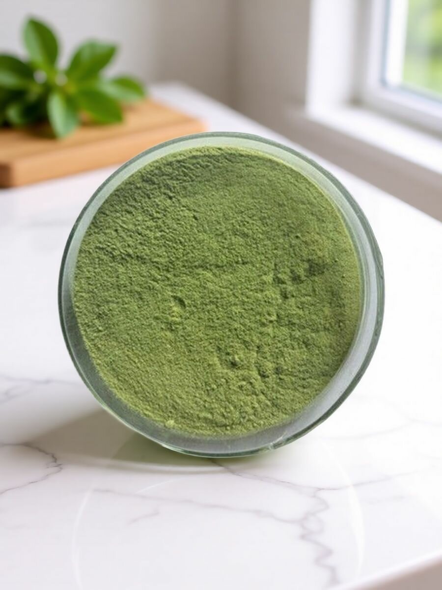 Порошок экстракта листьев Ашитабы, травяной чай, ( Angelica keiskei 10:1 ) 100 г