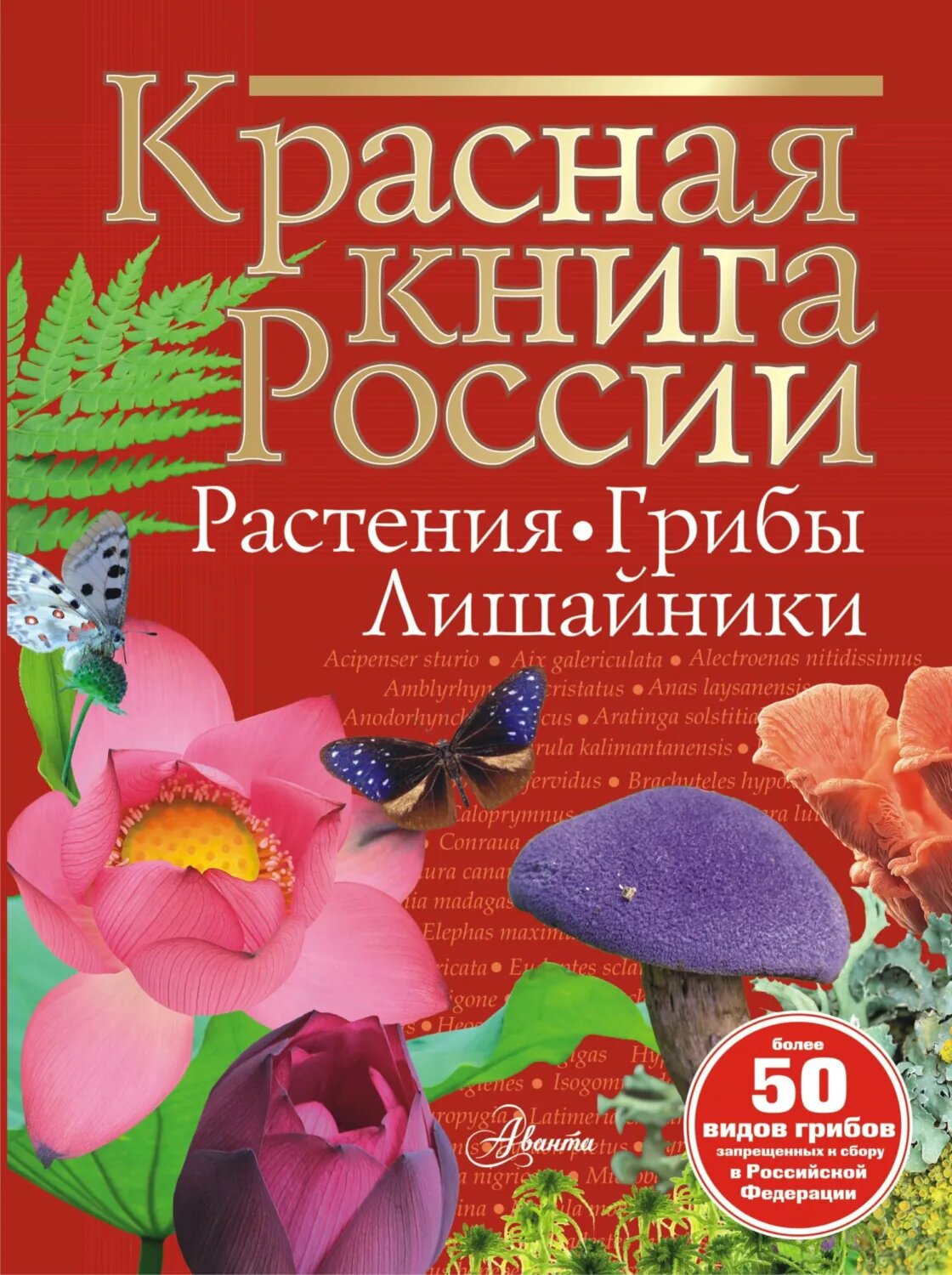 Красная книга России. Растения, грибы, лишайники [Цифровая книга]
