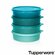 Набор чаш "Зодиак" 500мл Tupperware