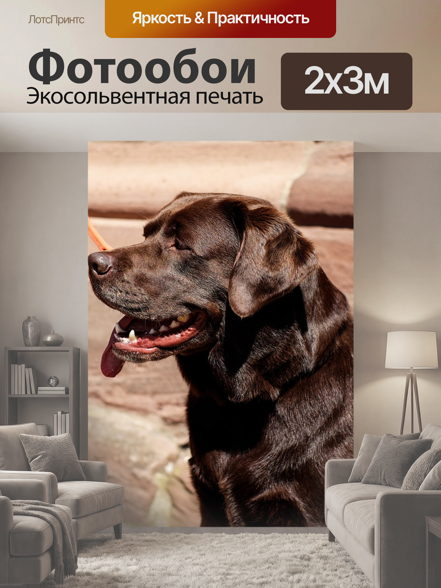 Фотообои "Собака, лабрадор ретривер, коричневый" 200x300 см. экосольвентная печать
