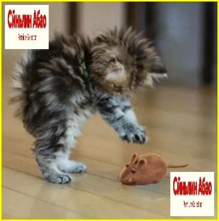 Мягкие пищащие мышки для кошек