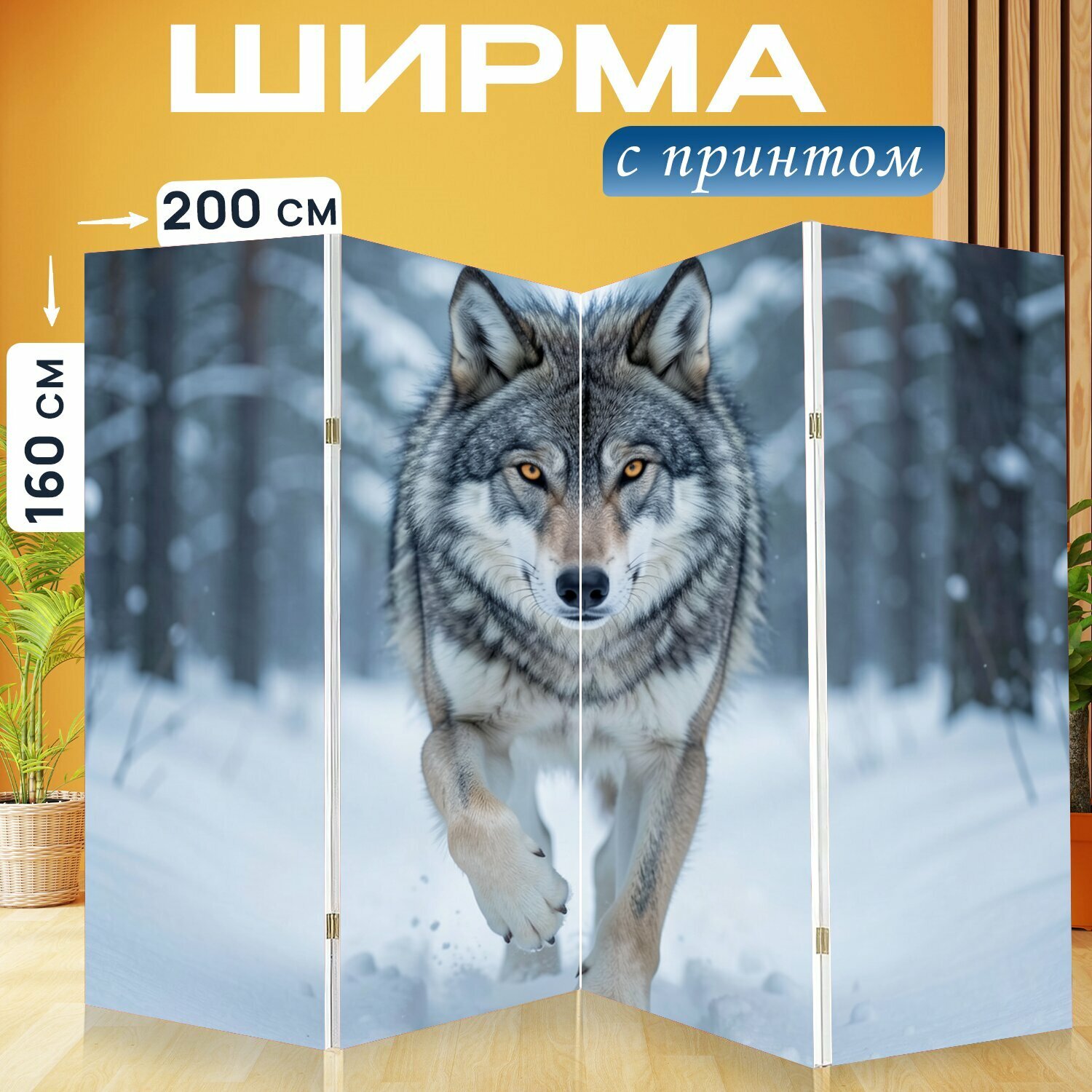 Ширма "Серый волк в зимнем лесу. Хищный зверь идёт по заснеженной тропе среди елового леса, крупный план." перегородка для зонирования комнаты с принтом 200x160 см. на холсте
