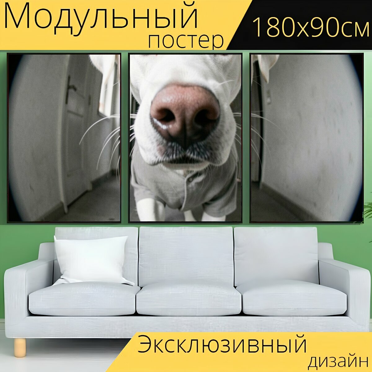 Модульный постер "Белый пёс крупным планом. Любопытный светлый щенок в серой одежде смотрит прямо в объектив в узком коридоре." 180 x 90 см. для интерьера на стену в тубусе