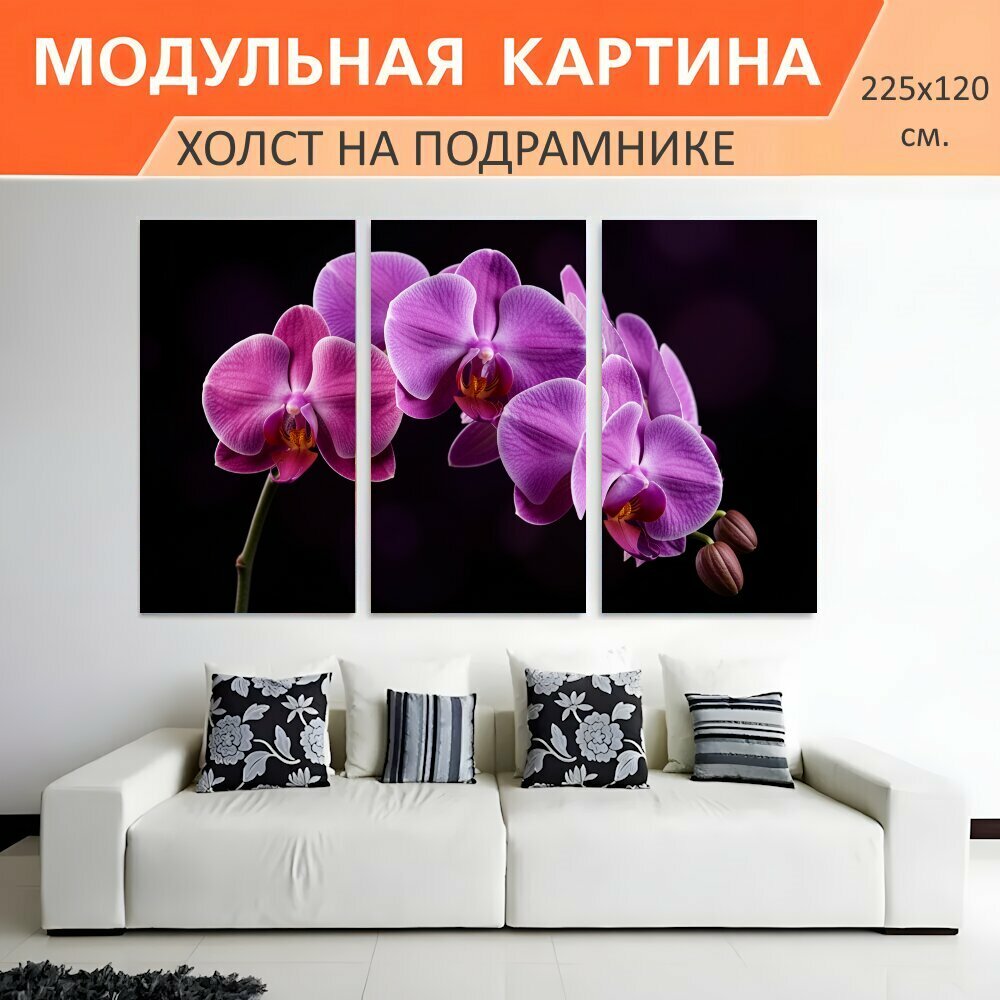 Модульная картина на холсте "Лиловые орхидеи на черном фоне. Изящные цветки фаленопсиса с нежными лепестками в розово-фиолетовой." триптих на подрамнике 225х120 см. для интерьера