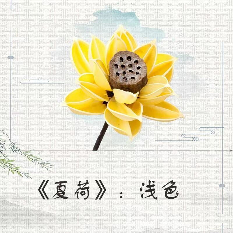 Сушёный цветок лотоса