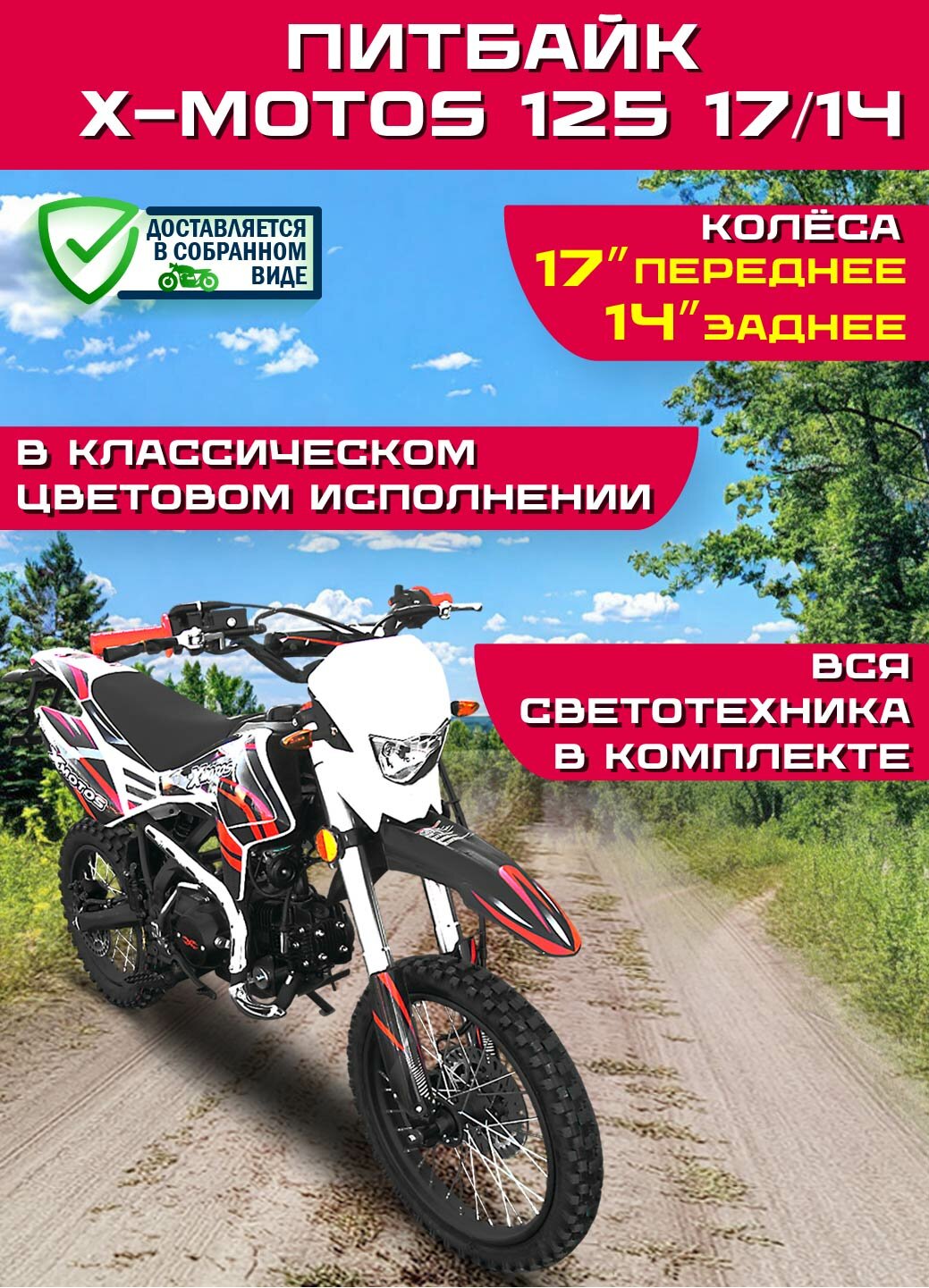 Питбайк X-MOTOS 125 17/14 BLACK (прибор. панель, светотехника)