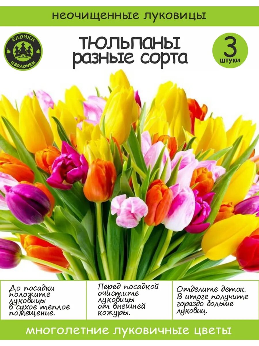 Тюльпан луковичные цветы, Микс сортов 3 шт