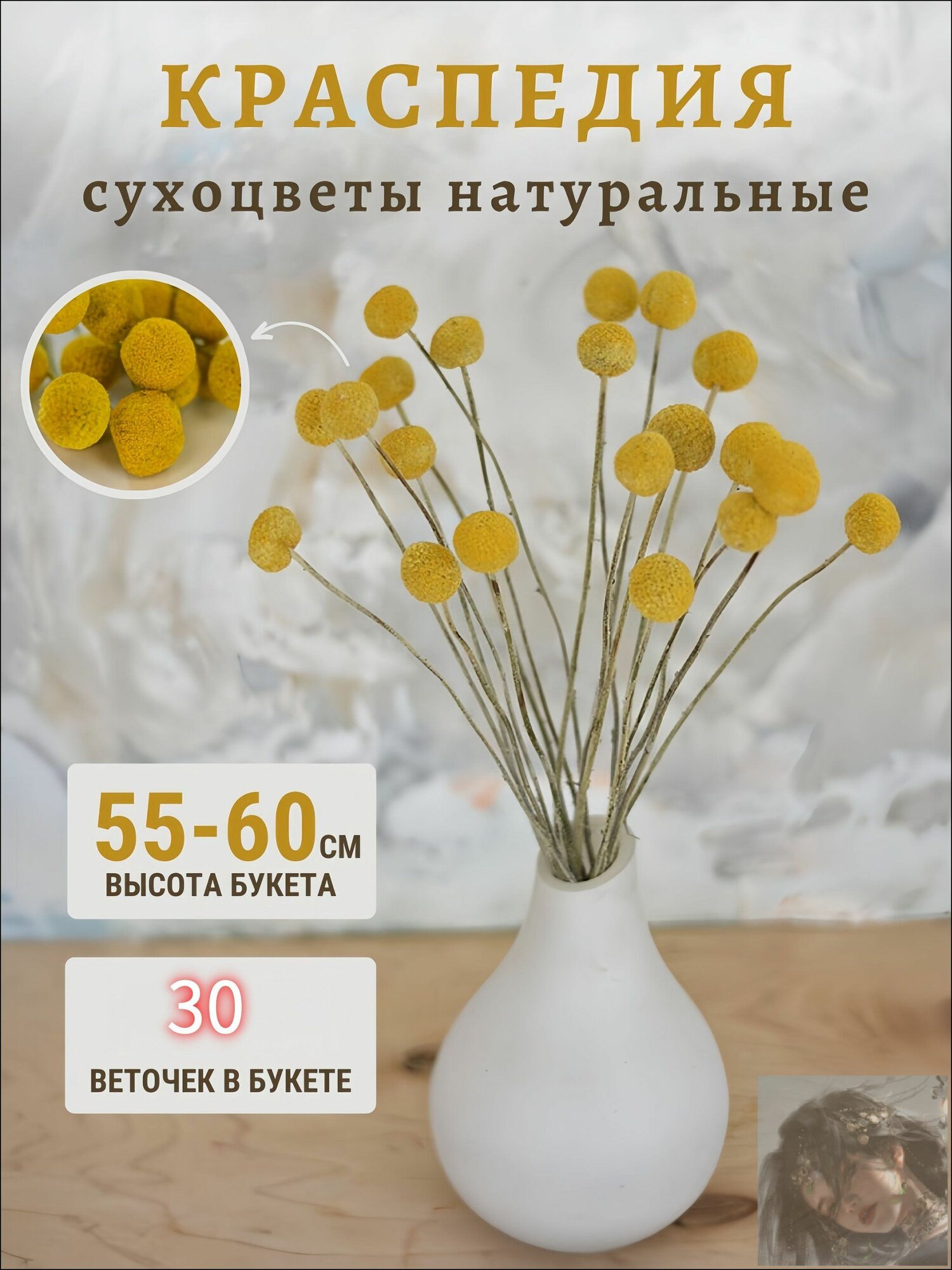 Сухоцветы для декора Trava Decor цветы Краспедия для вазы/30 шт