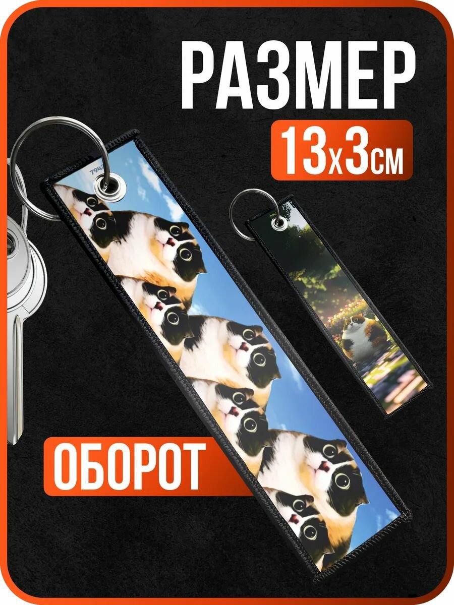 Брелок ремувка Котость мем — фото 1