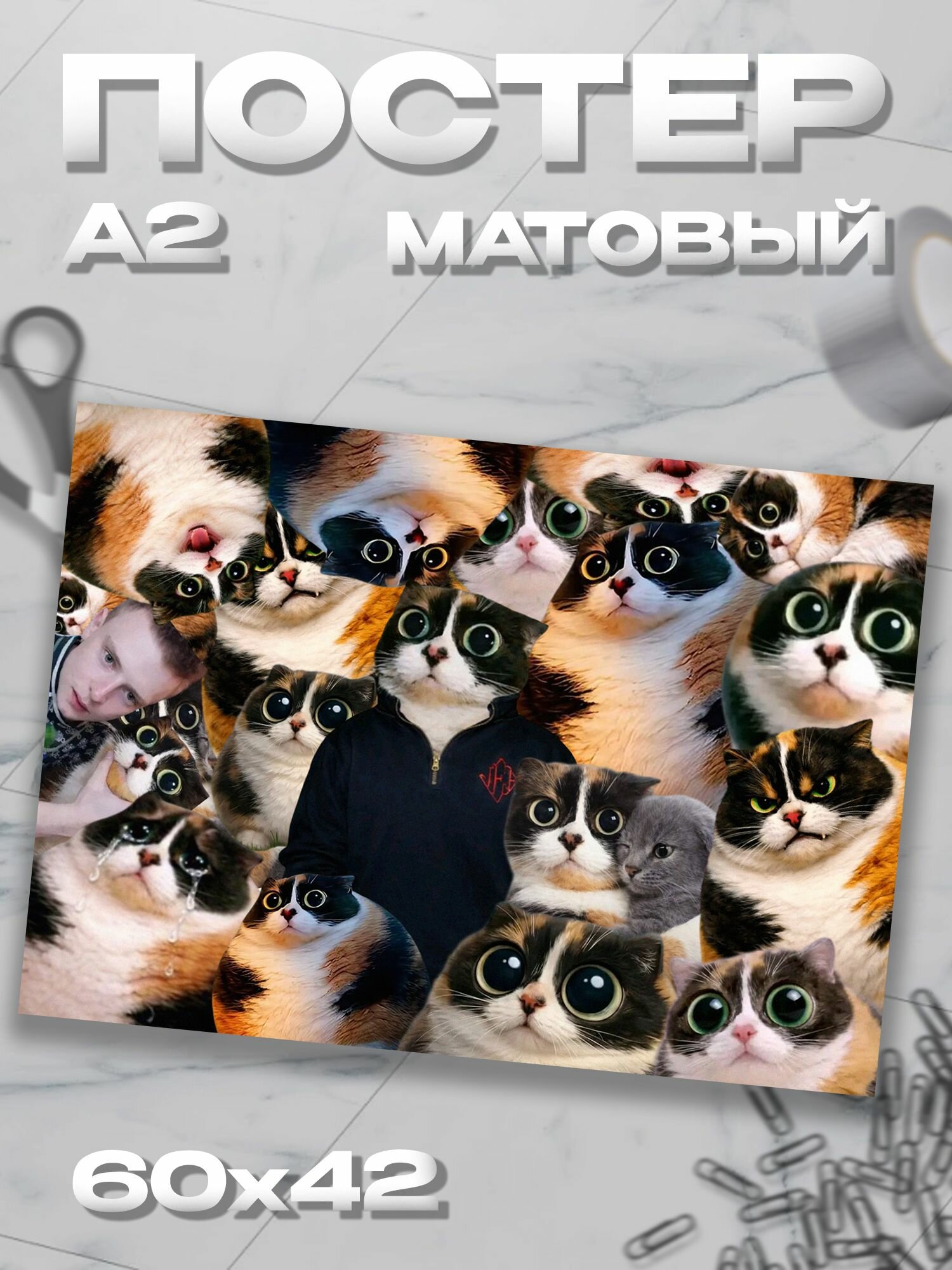 Плакат А2 Mellstroy Мелстрой котость постер / 60*42