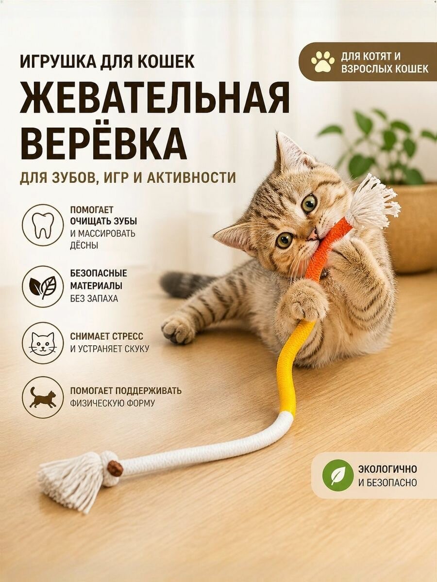 Игрушки для котят, жевательная игрушка для кошек для чистки зубов и снятия стресса, зелёная