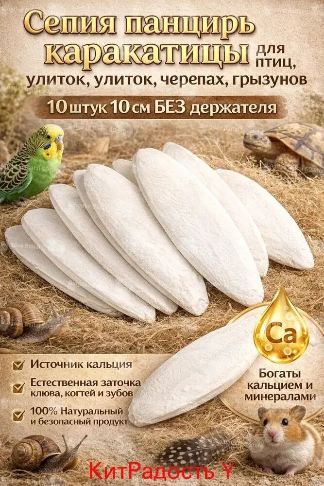 Сепия панцирь каракатицы для птиц, улиток, черепах, грызунов 12 штуки 8-10 см без держателя
