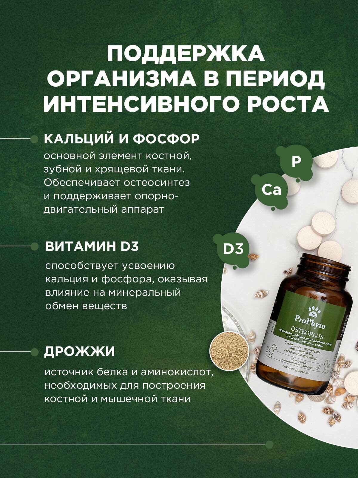 Витамины для собак и кошек Остеоплюс ProPhyto для костной системы, 70 таблеток — фото 1