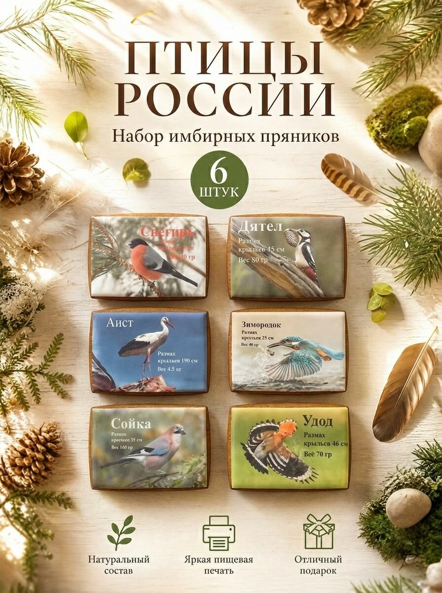 Птицы России. Подарочный набор имбирных пряников.