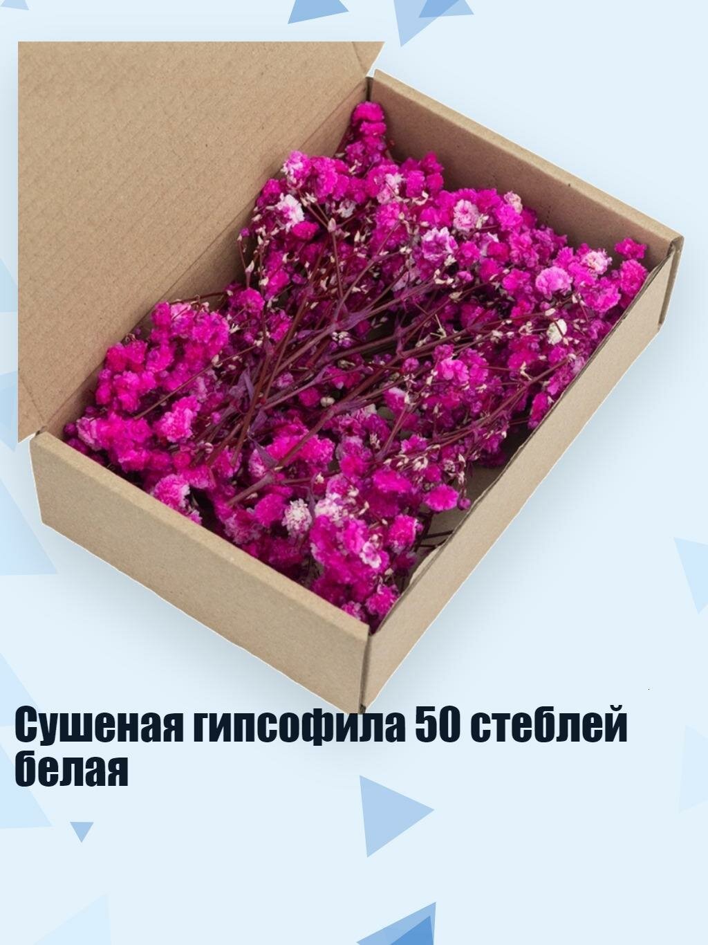 Сушеная гипсофила 50 стеблей белая, 8