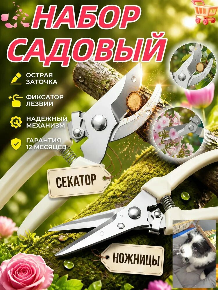 Секатор