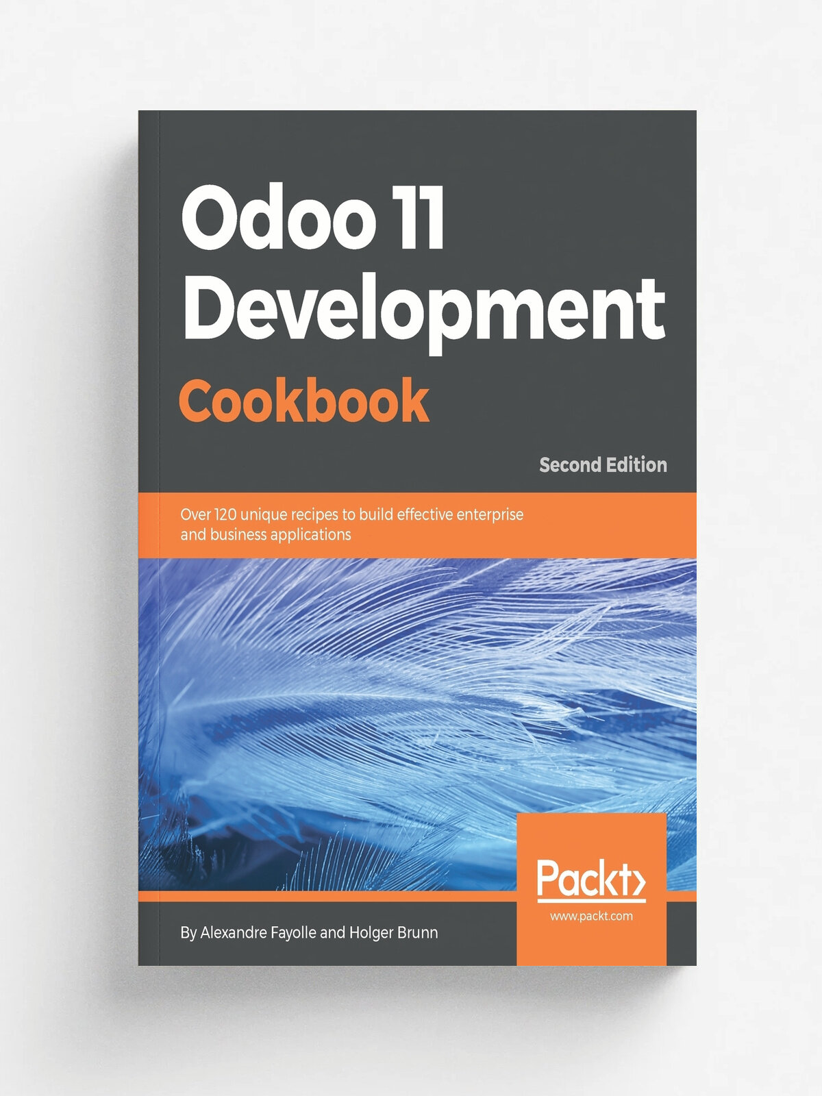 Odoo 11 Development Cookbook - Second Edition. Over 120 unique recipes to build effective enterprise and business applications