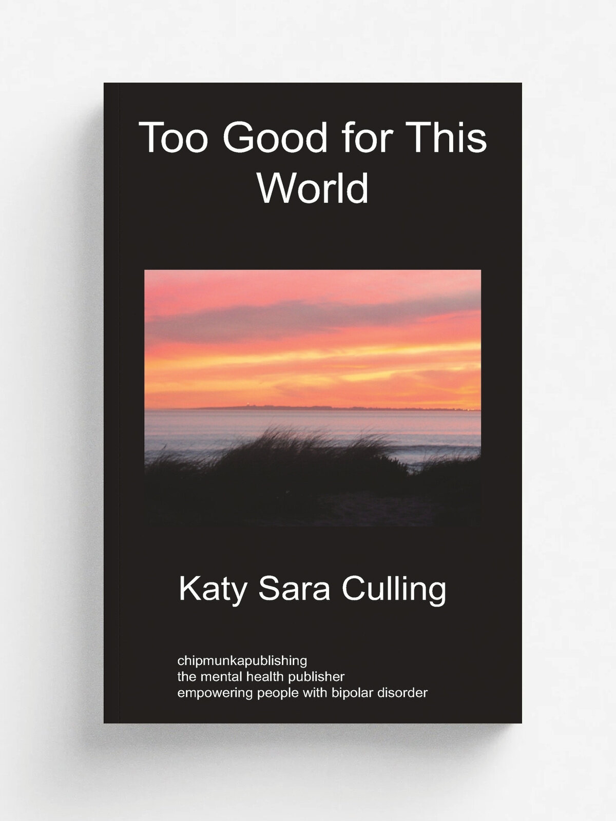 Too Good for This World. True Stories From People Who Have Mood Disorders