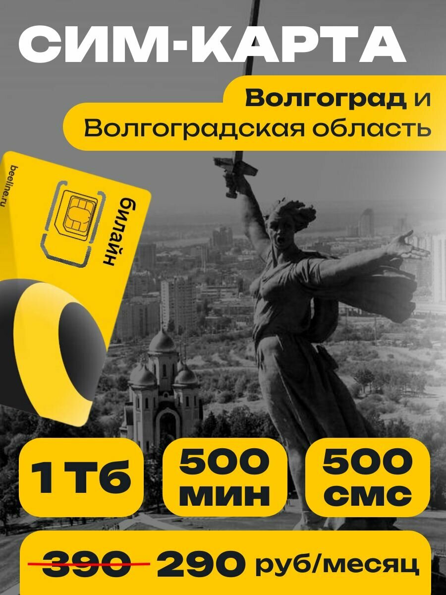 Сим-карта Билайн тариф Эксклюзивный Онлайн Лайт Волгоградская область 1024 Гб + 500 минут за 290 руб.