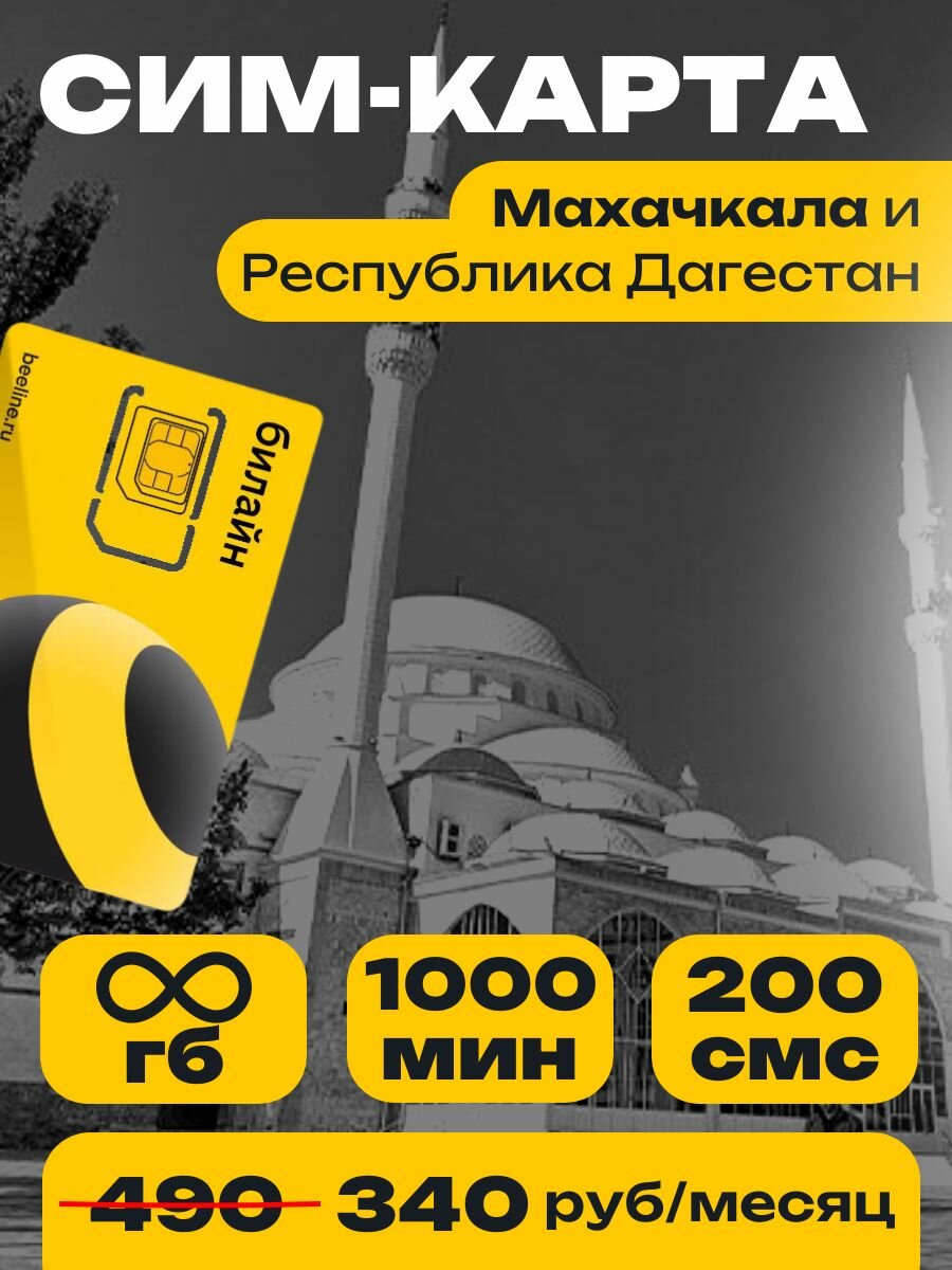 Сим-карта Билайн тариф Эксклюзивный Плюс Республика Дагестан Безлимитный интернет и 1000 минут за 340 руб.