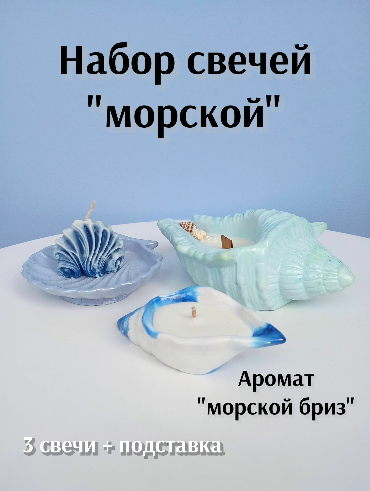 Свеча морская ракушка