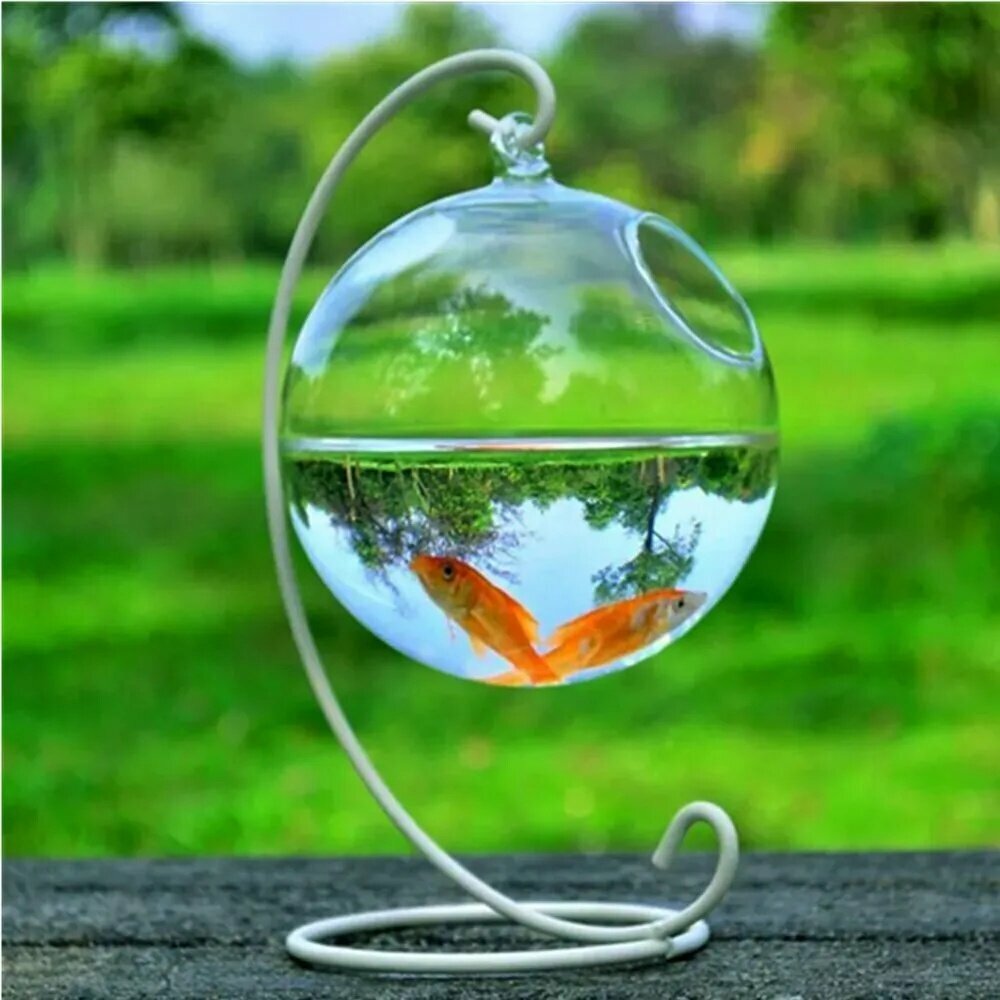 Мини Fish Tank